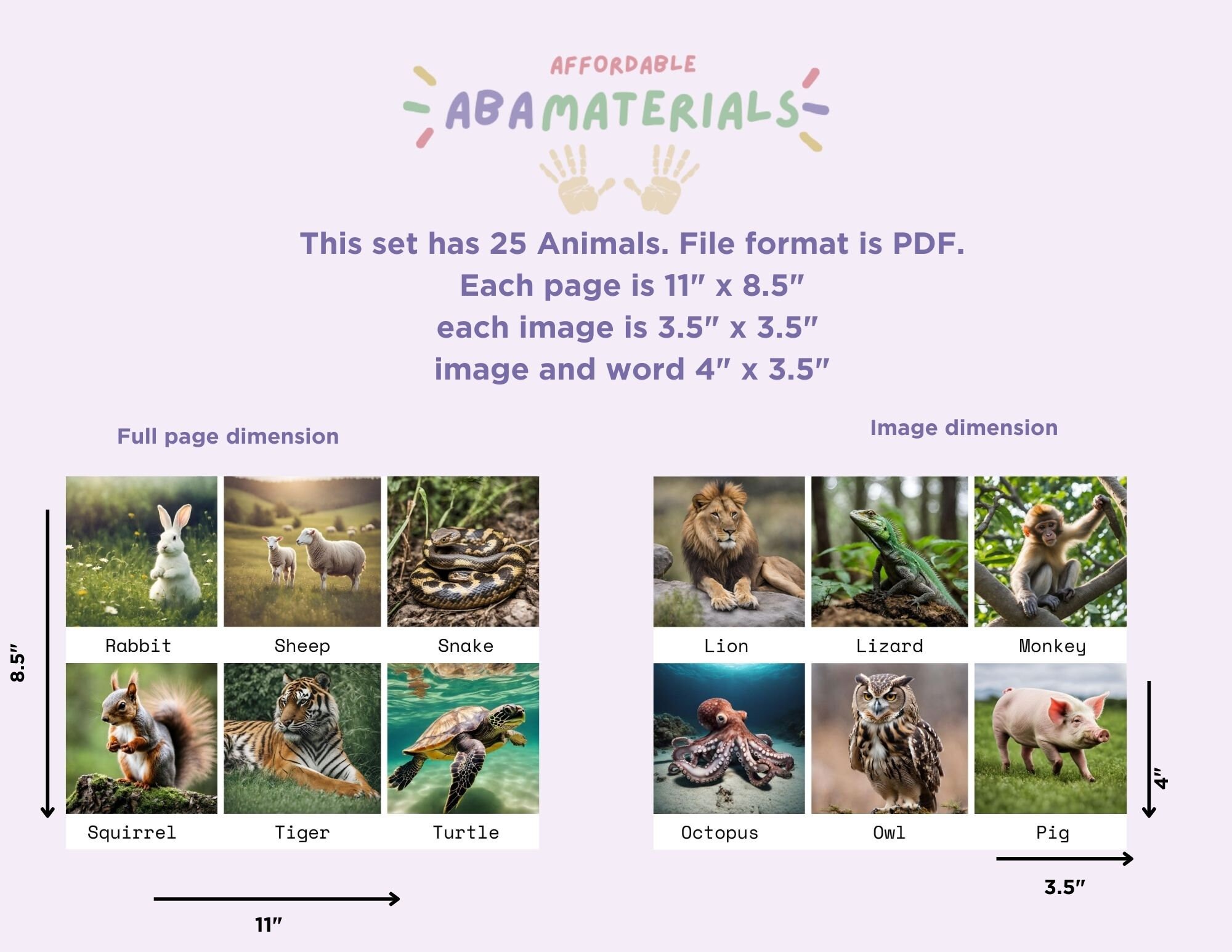 Printable Animal Flash Cards With Real Images and Words-25 Educational ...
