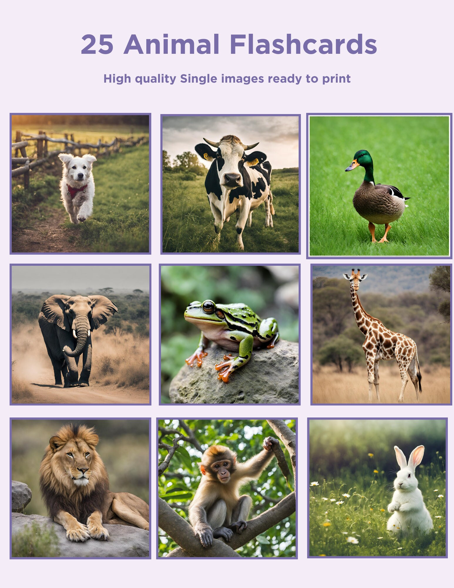 Engaging Animal Flashcards: 25 Printable Flashcards Ideal for ...