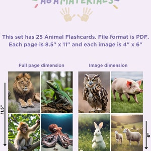 Engaging Animal Flashcards: 25 Printable Flashcards Ideal for ...