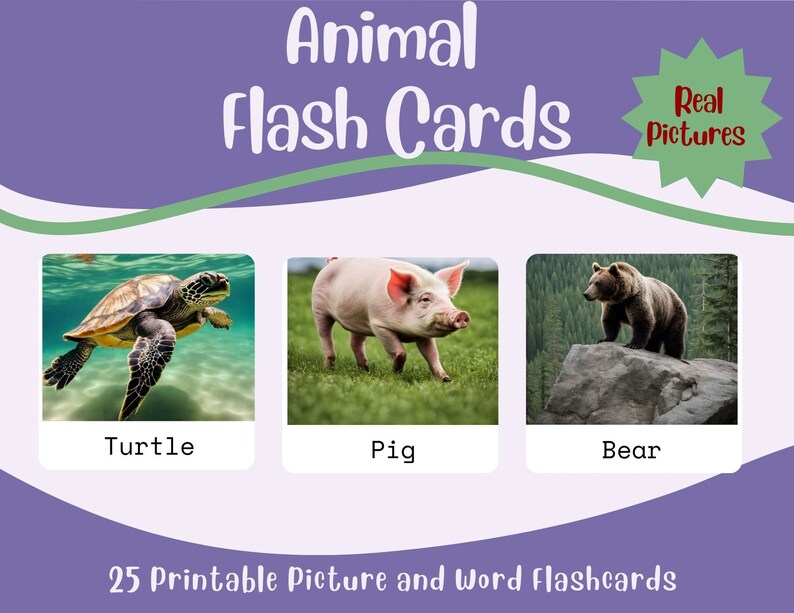 Printable Animal Flash Cards With Real Images and Words-25 Educational ...