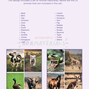 Engaging Animal Flashcards: 25 Printable Flashcards Ideal for ...