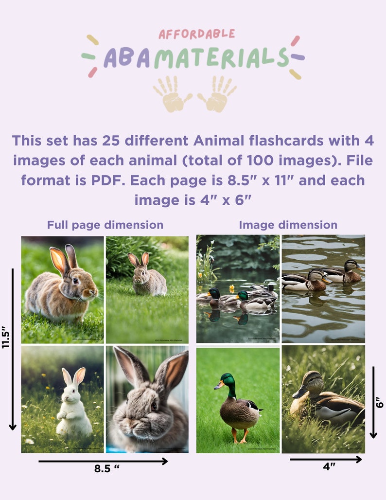 25 Animals Flashcards - Printable Flashcards for Education, Enhance ...