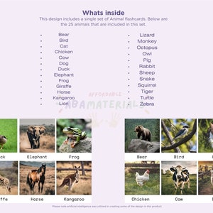 Printable Animal Flash Cards With Real Images and Words-25 Educational ...