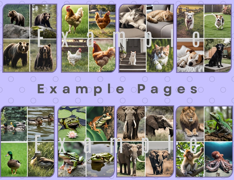 25 Animals Flashcards - Printable Flashcards for Education, Enhance ...