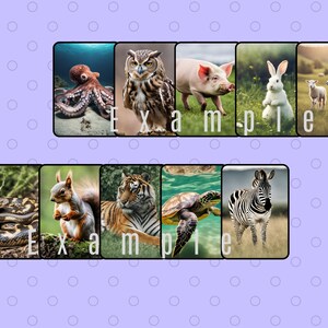 Engaging Animal Flashcards: 25 Printable Flashcards Ideal for ...