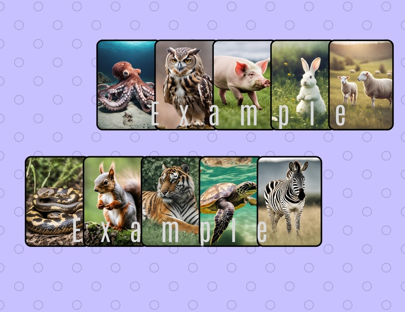 Engaging Animal Flashcards: 25 Printable Flashcards Ideal for ...