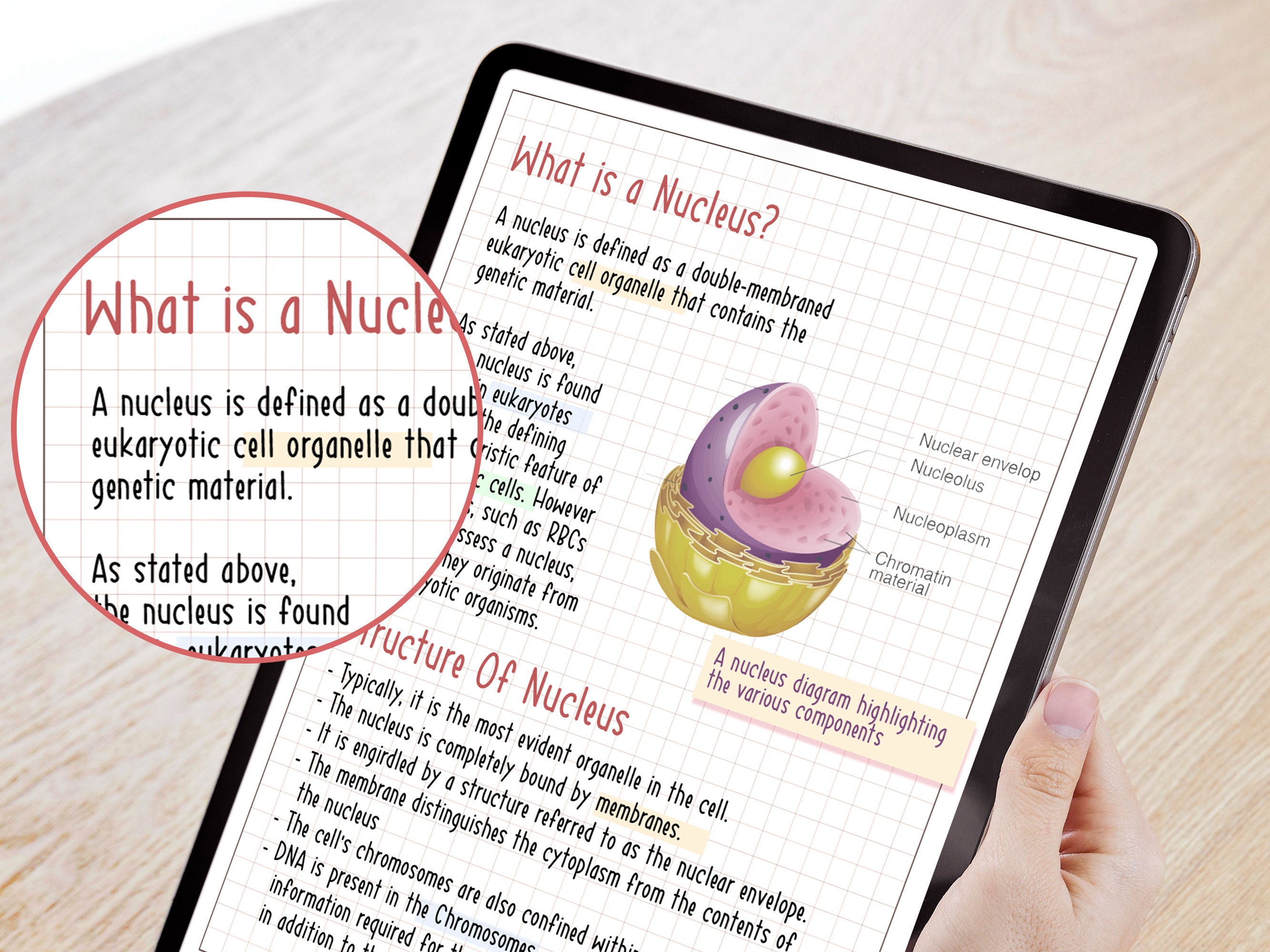 Neat Handwriting Font for Goodnotes Font Neat Font, Clean Handwritten ...