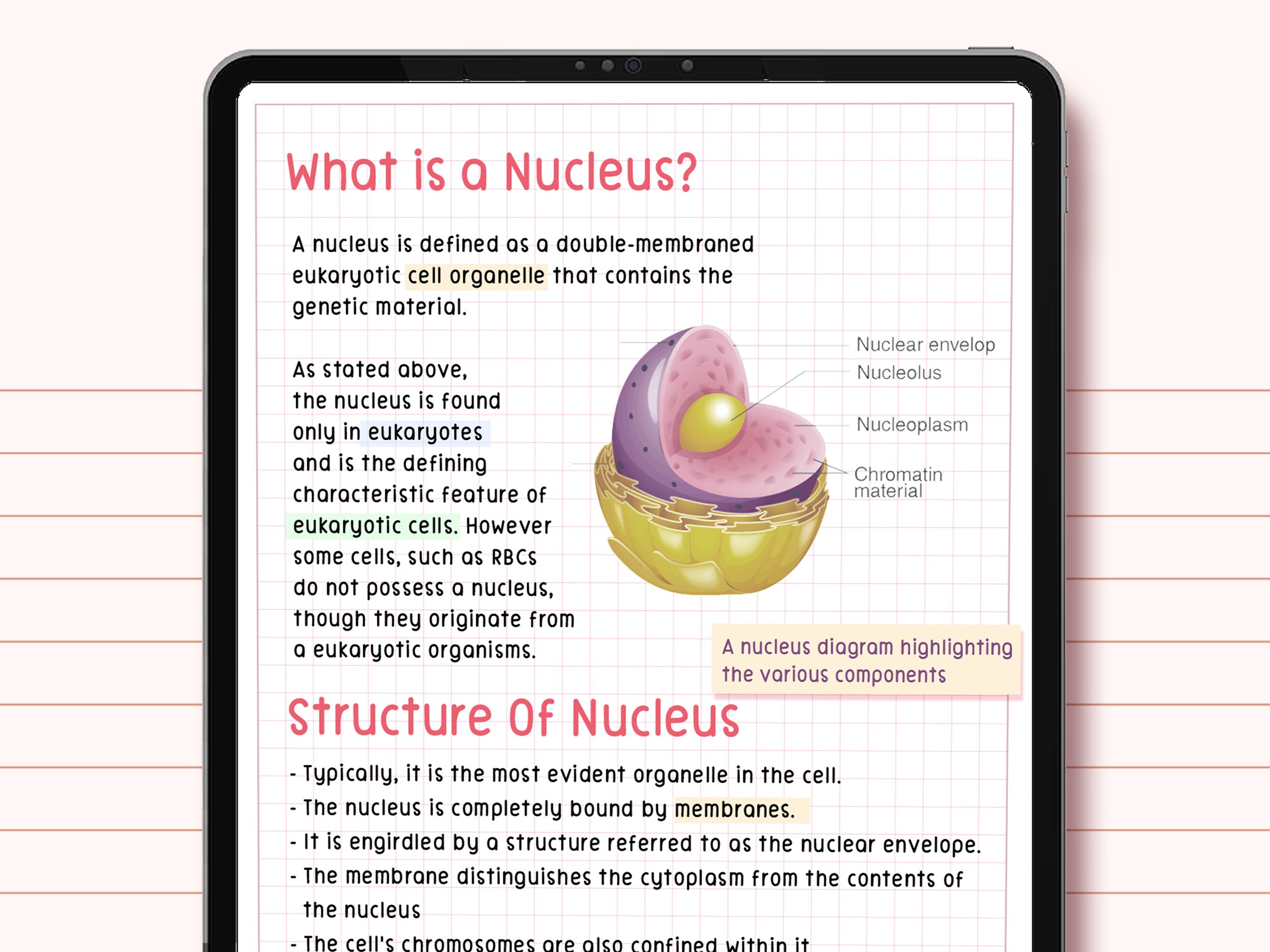 Neat Handwriting Font for Note, Neat Font Handwritten Digital Font ...