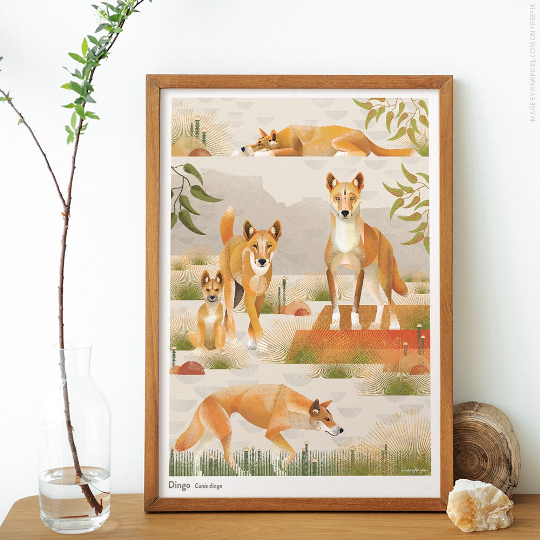 Australian Native Dingo A1 Poster Print - Etsy