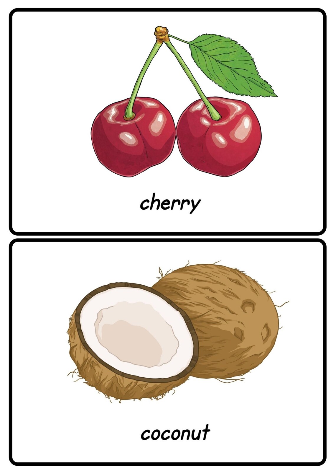 Printable Educational Flashcards for Kids, Vehicle, Fruit, Vegetable ...