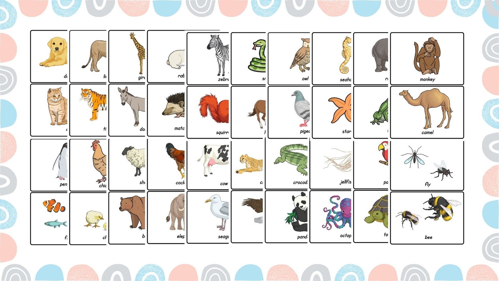 Printable Educational Flashcards for Kids, Vehicle, Fruit, Vegetable ...