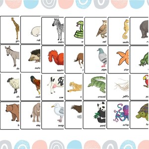 Printable Educational Flashcards for Kids, Vehicle, Fruit, Vegetable ...
