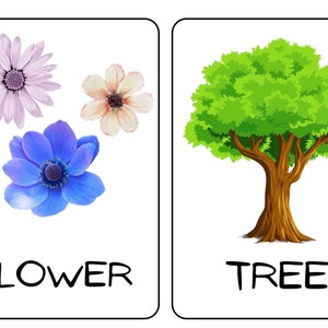 Printable Educational Flashcards for Kids, Vehicle, Fruit, Vegetable ...