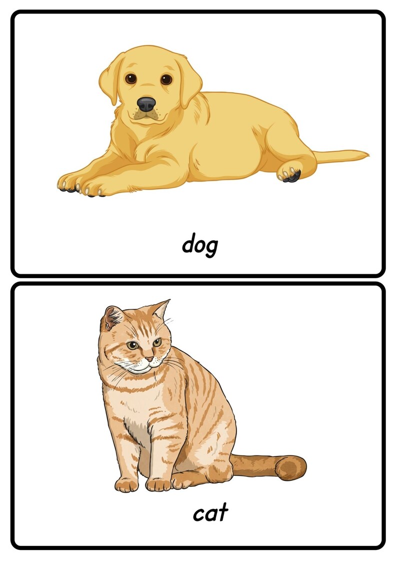 Printable Educational Flashcards for Kids, Vehicle, Fruit, Vegetable ...