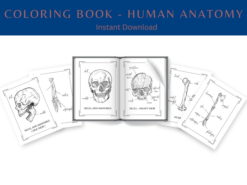 Coloring Book - Human Anatomy (selling the Access) (instant Download ...