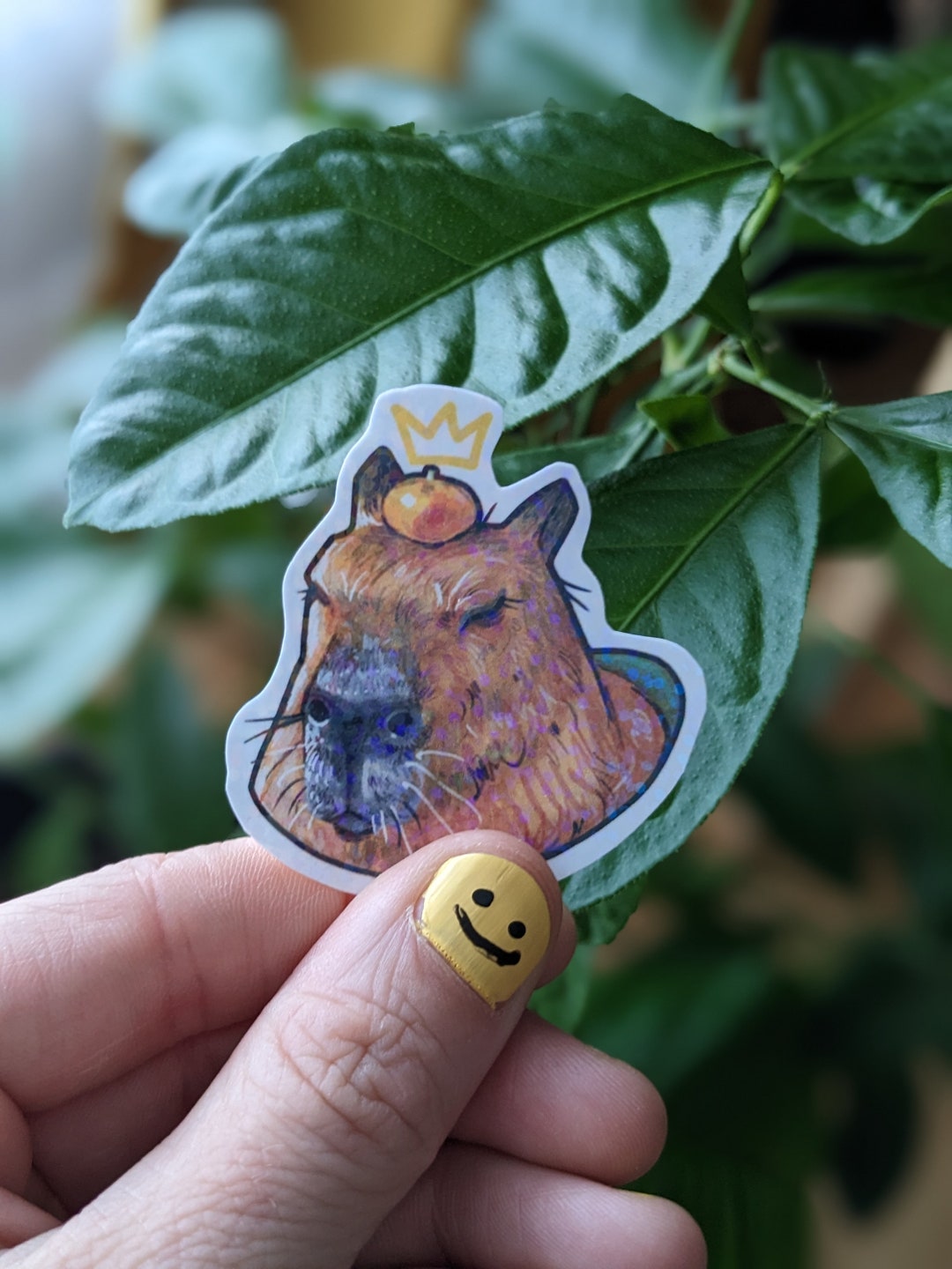 Sticker | King Yuzu - Etsy