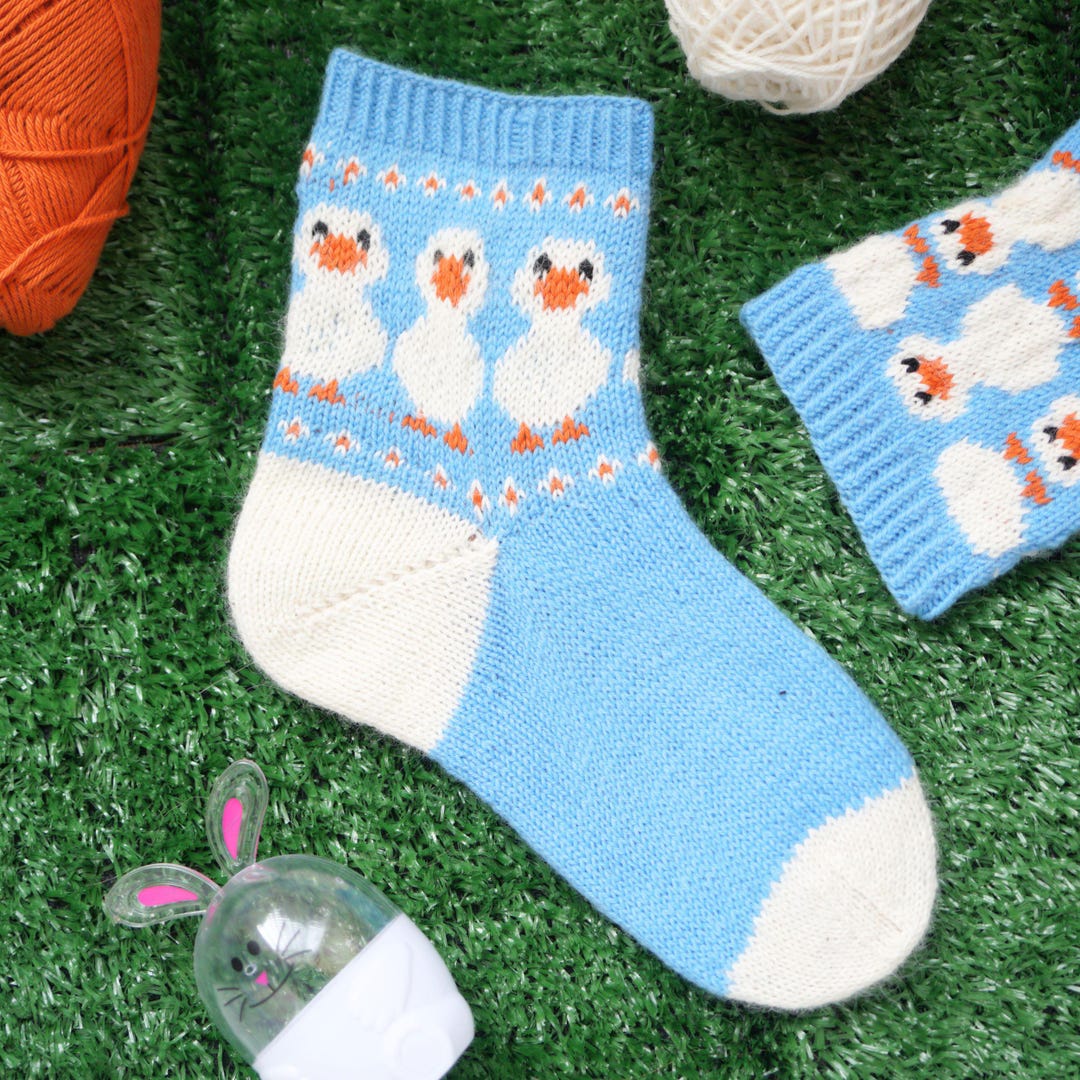 Silly Goose Socks Knitting Pattern – Whimsical Spring Colorwork | Adult ...