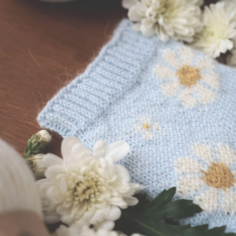 Daisy Floral Sock Knitting Pattern - Colorwork Cute Sock Pdf Pattern ...