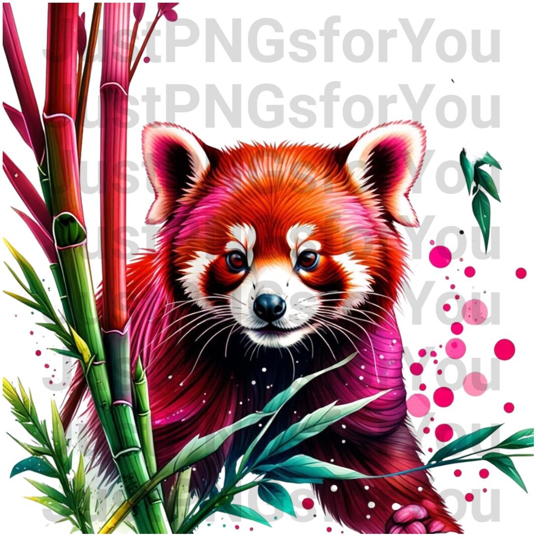 CLIPART - Red Panda Bundle (4 Images) - Baby Animals - Panda - Red ...