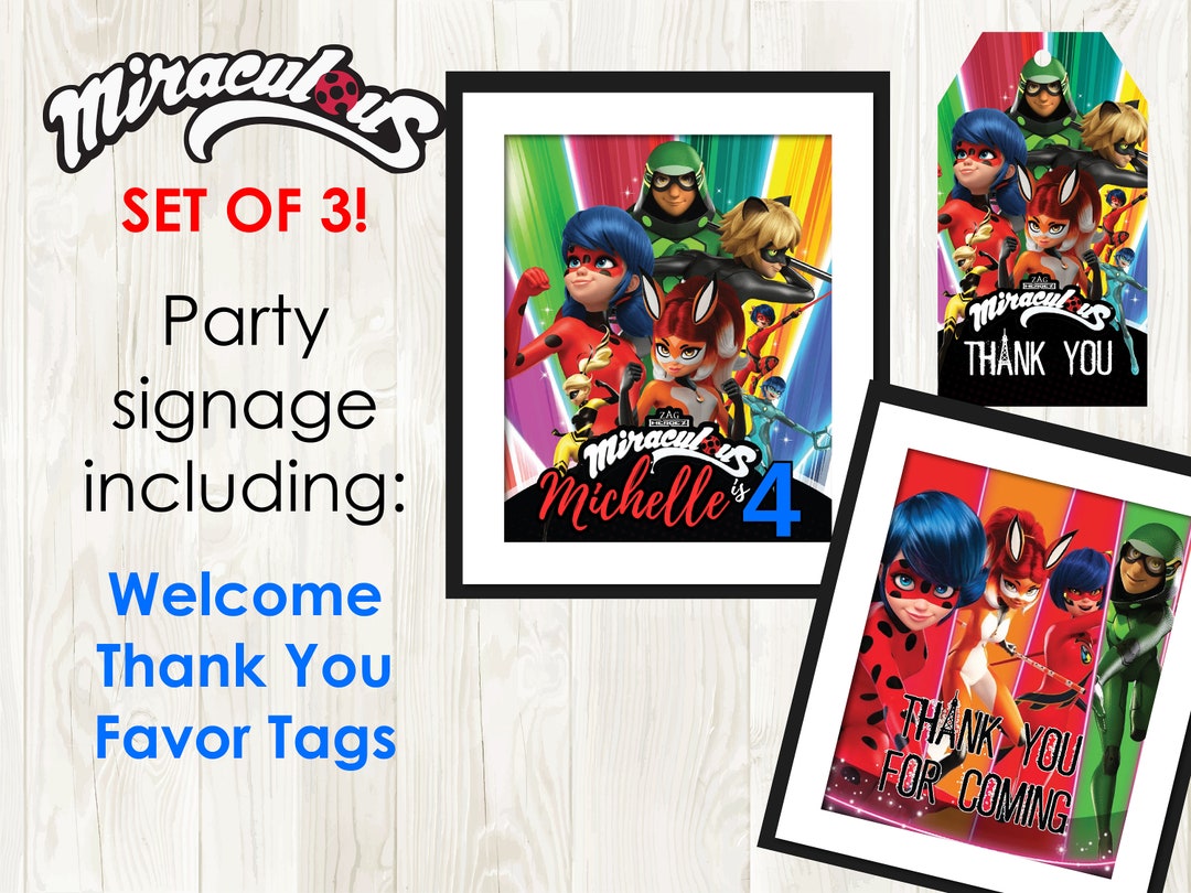Miraculous Ladybug Cat Noir Party Sign: Thank You, Welcome, Party Favor ...