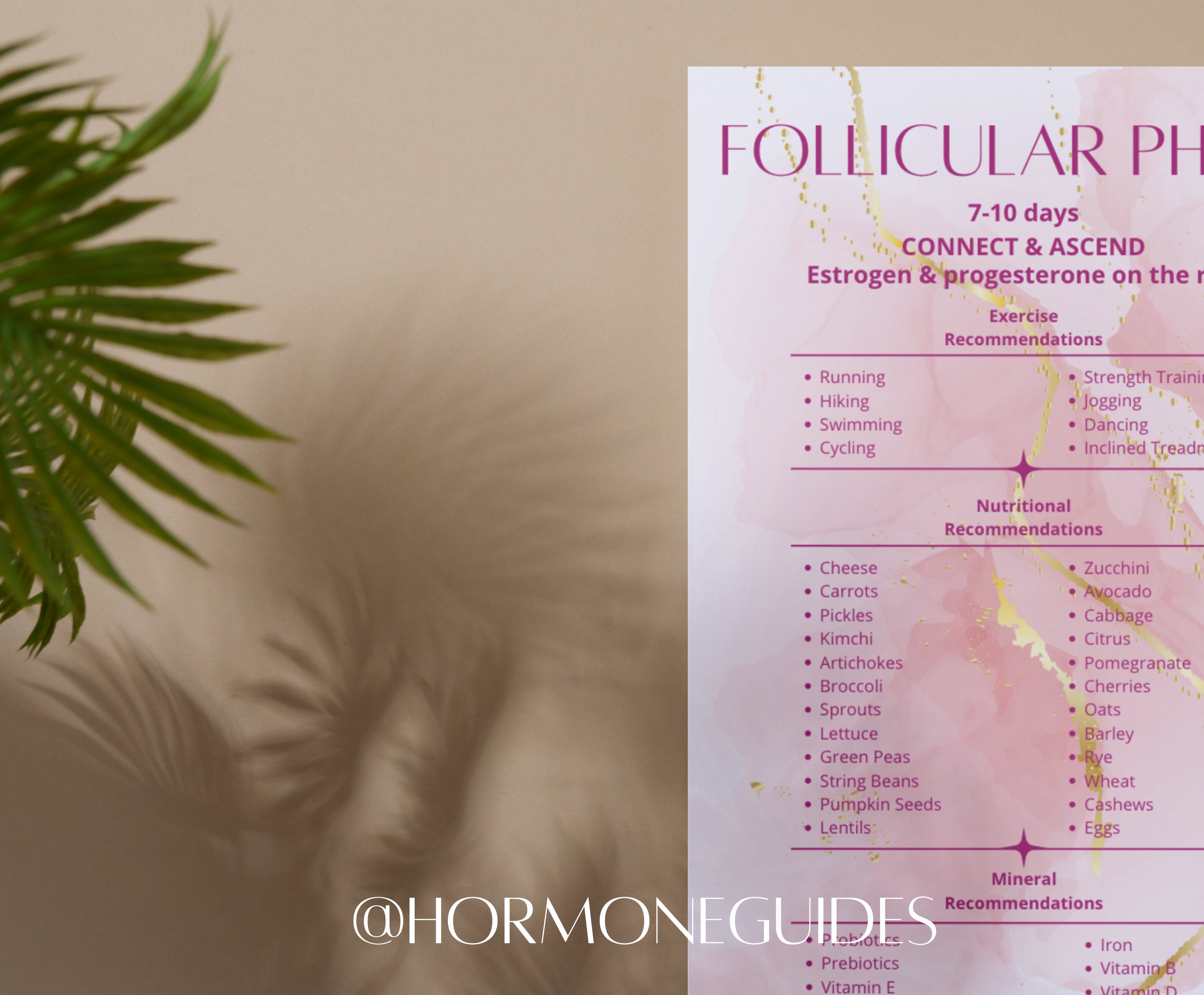 Cycle Syncing Sheets Hormone Proof Guides Cycle Syncing Hormones for Women Cheat Sheets Cycle ...