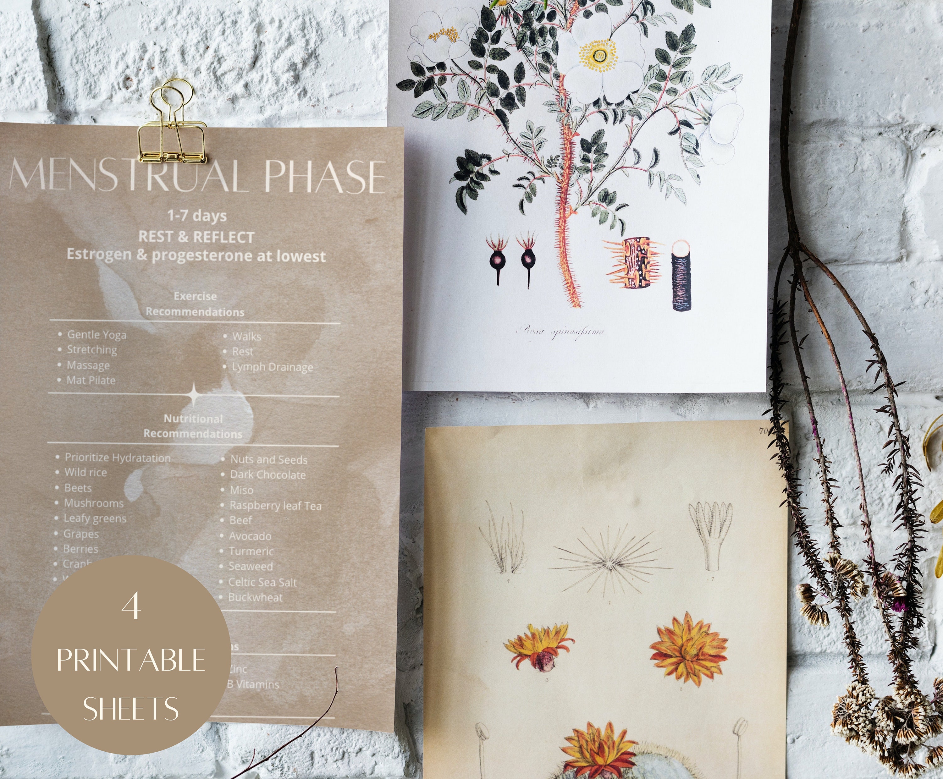 Cycle Syncing Sheets Hormone Proof Guides Cycle Syncing Hormones for ...