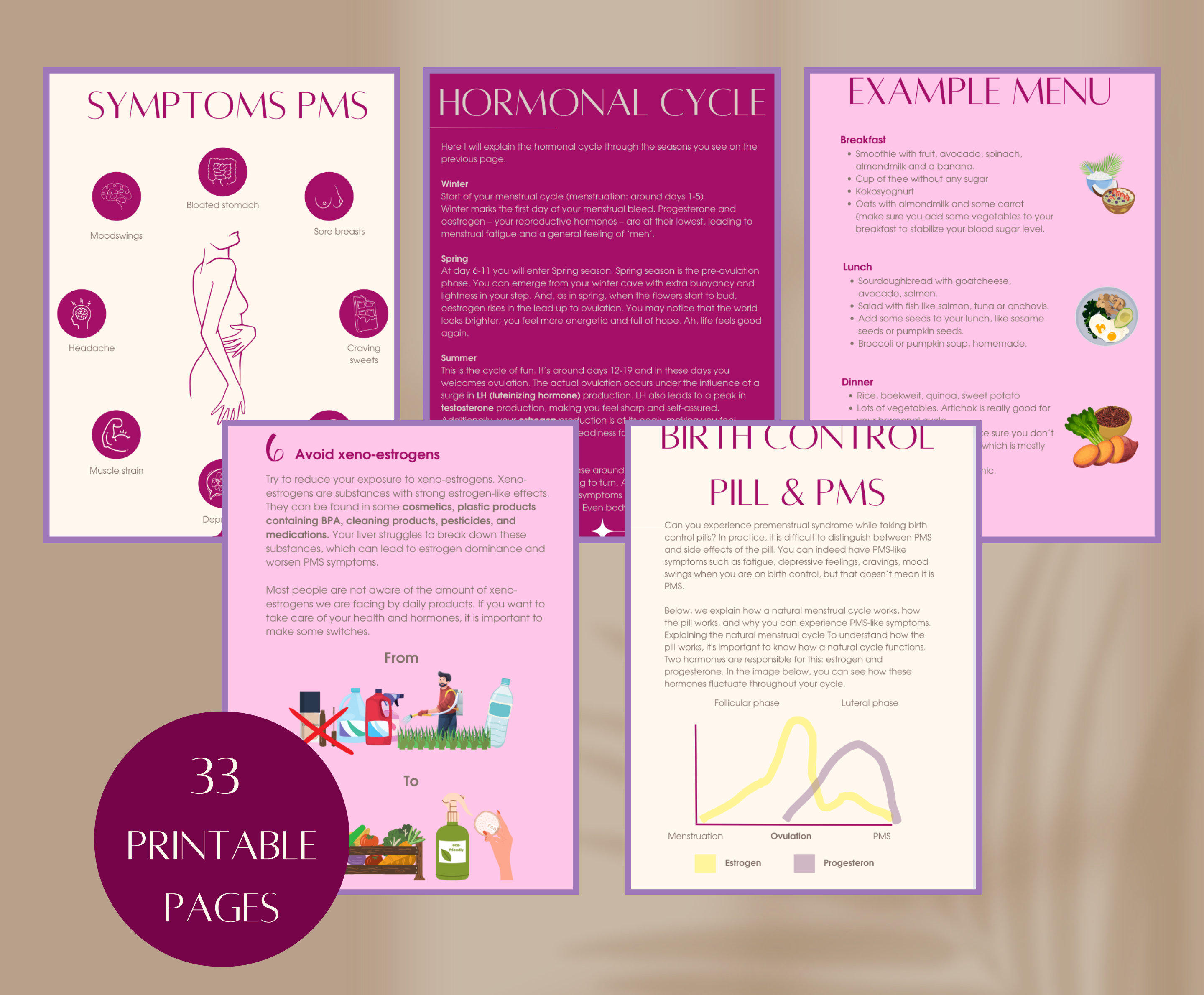 PMS Guide for Hormones Ebook PMS Lifestyle Guide Hormones Cycle for ...