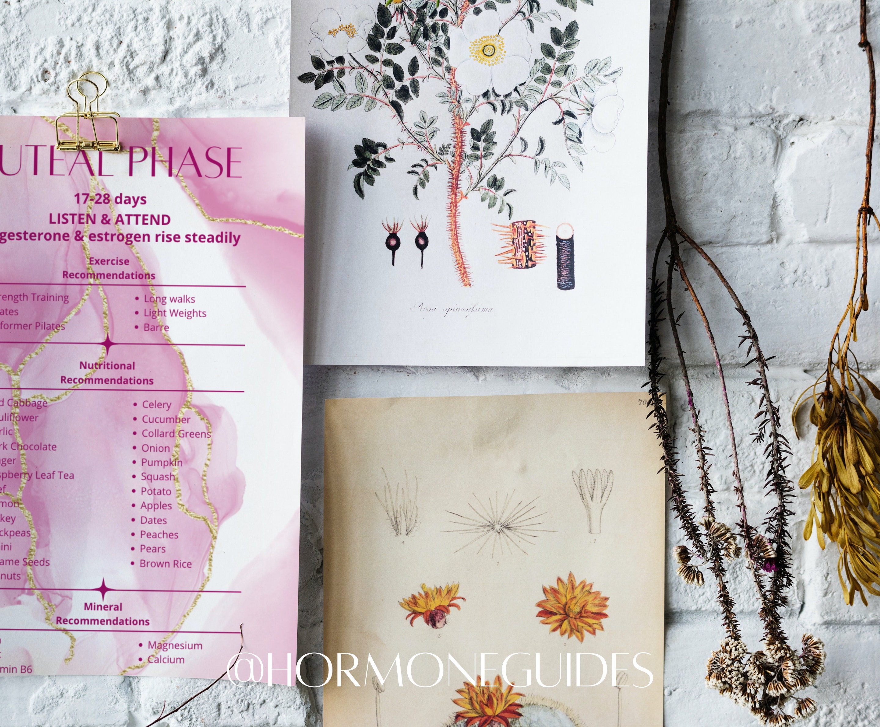 Cycle Syncing Sheets Hormone Proof Guides Cycle Syncing Hormones for ...