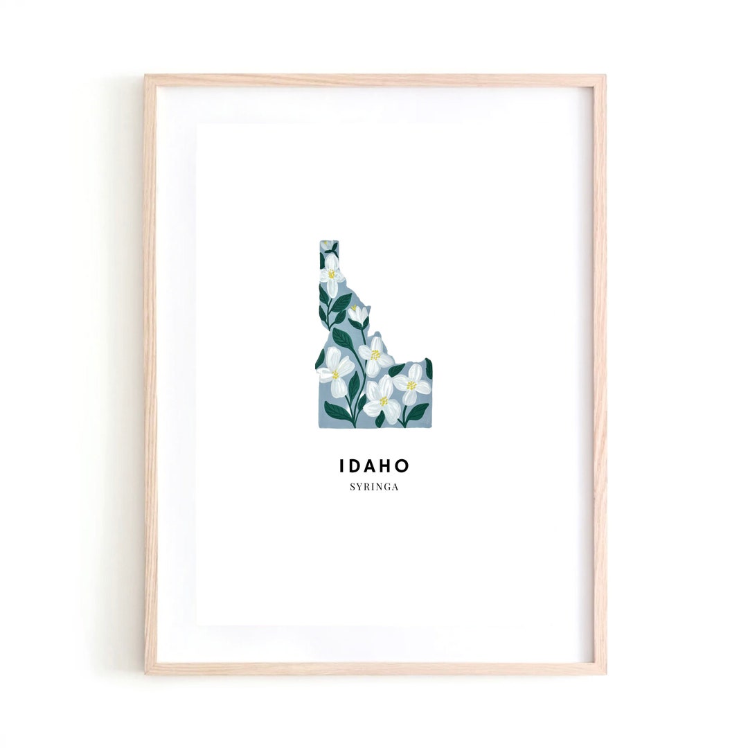 Idaho State Flower Art Print - Etsy