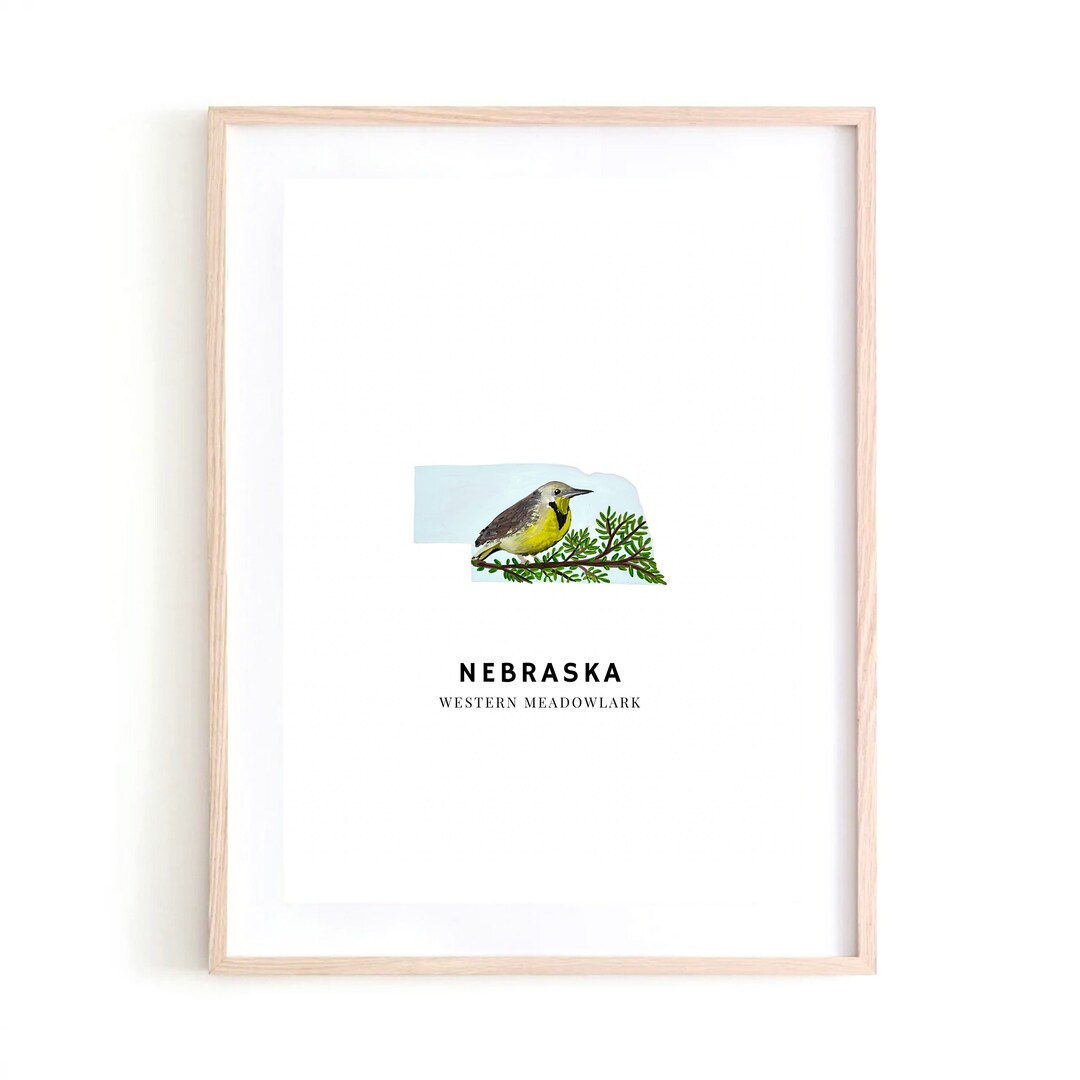 Nebraska State Bird Art Print - Etsy