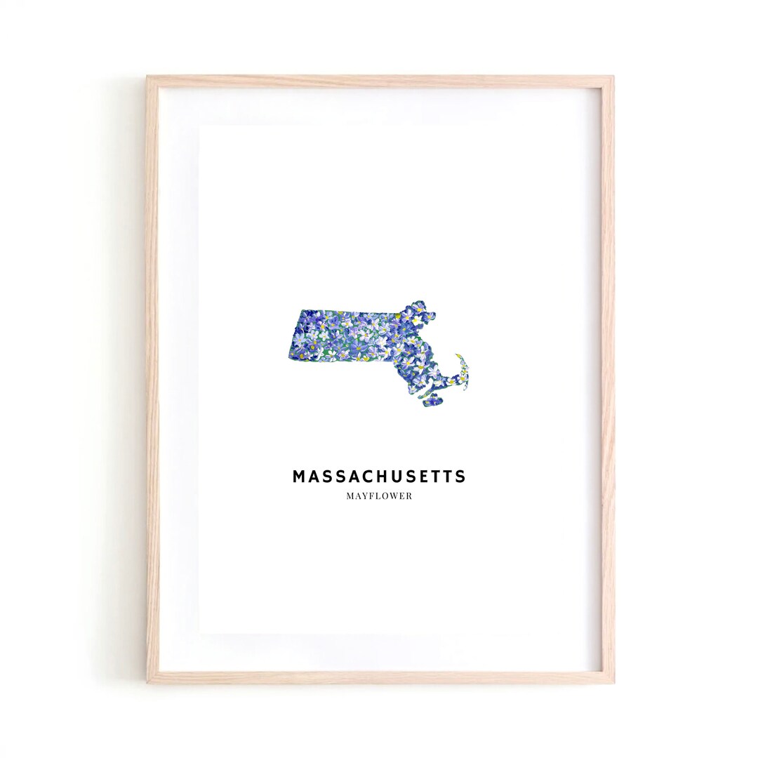 Massachusetts State Flower Art Print - Etsy