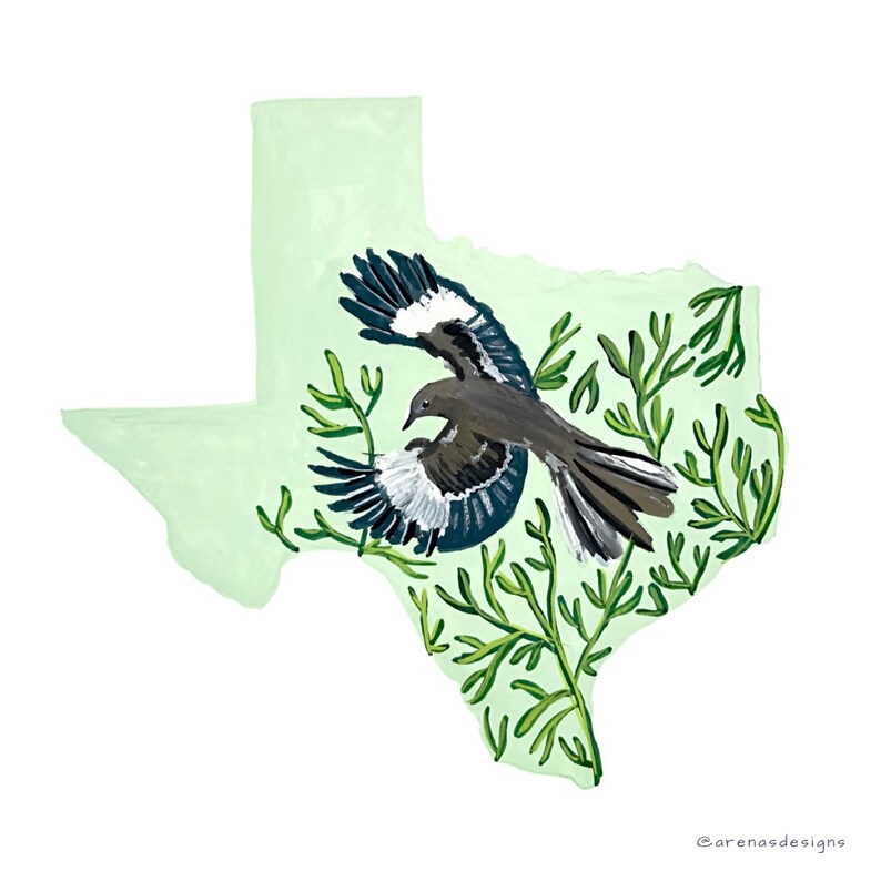 Texas State Bird Art Print - Etsy