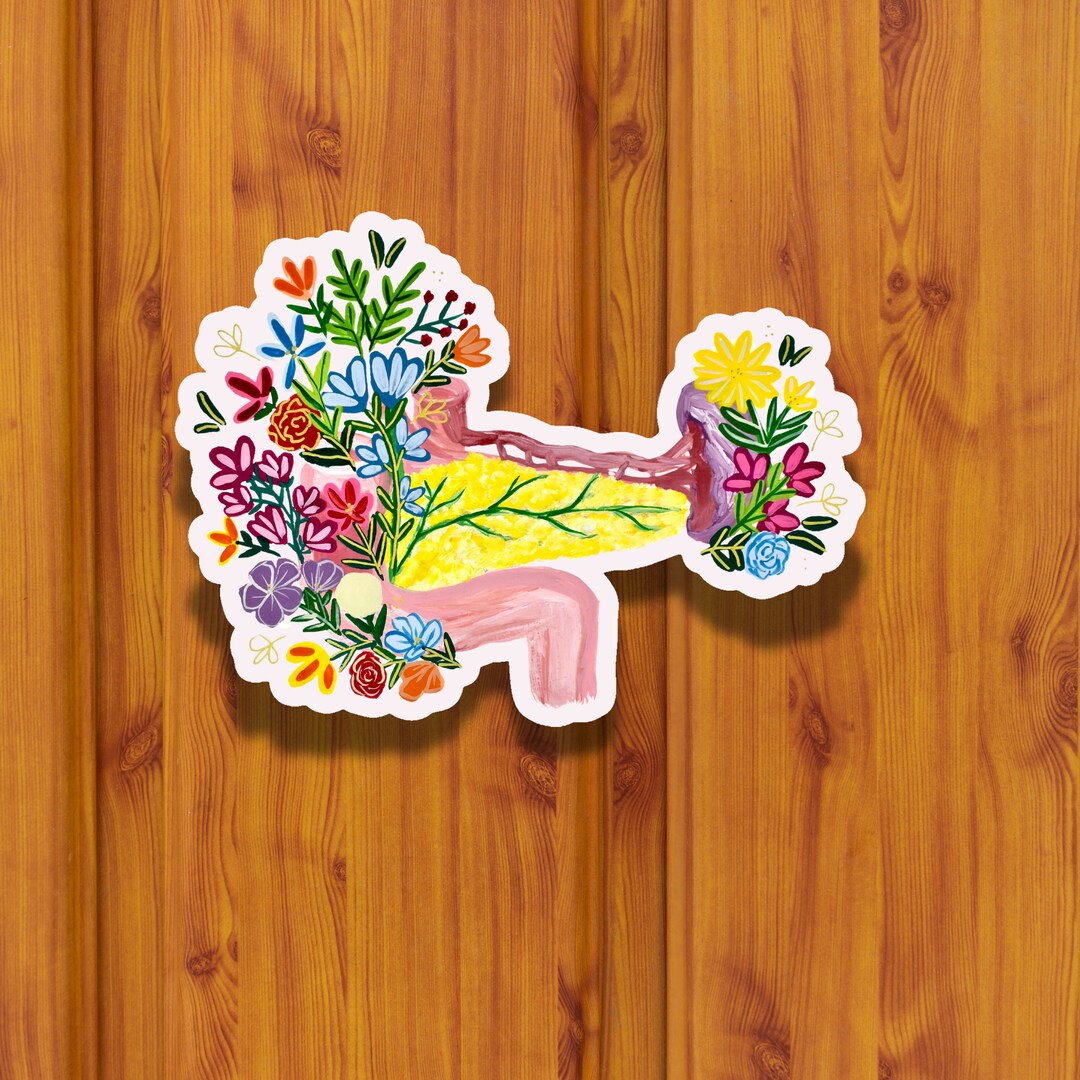 Pancreas Sticker - Etsy
