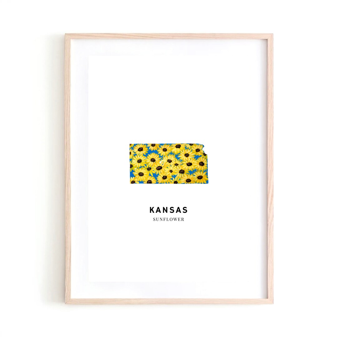 Kansas State Flower Art Print - Etsy