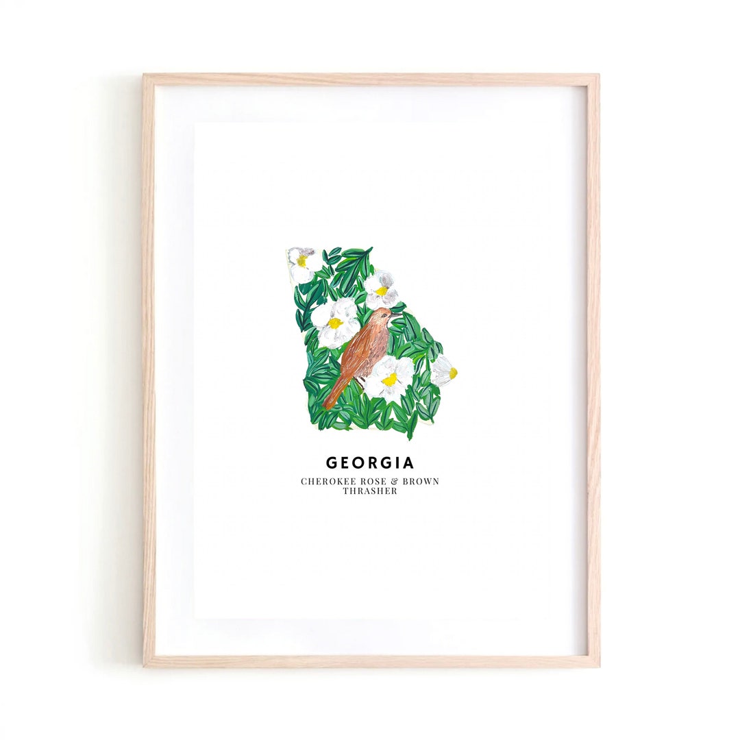 Georgia State & Brown Thrasher Bird Art Print - Etsy