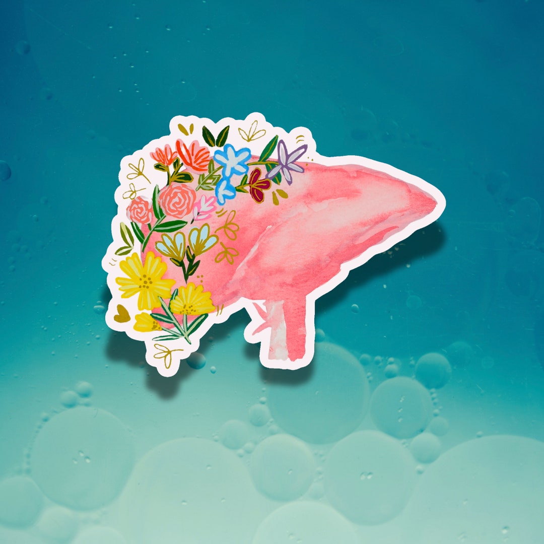 Liver Sticker - Etsy