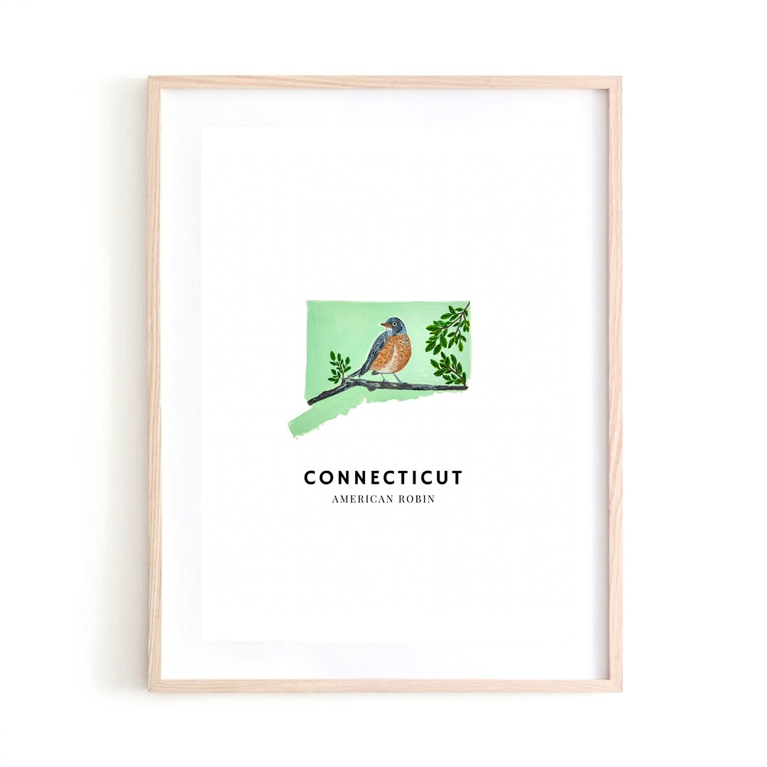 Conneticut State Bird Art Print - Etsy