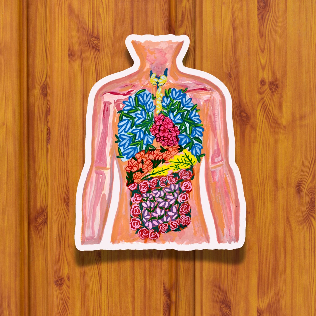 Human Body Sticker - Etsy
