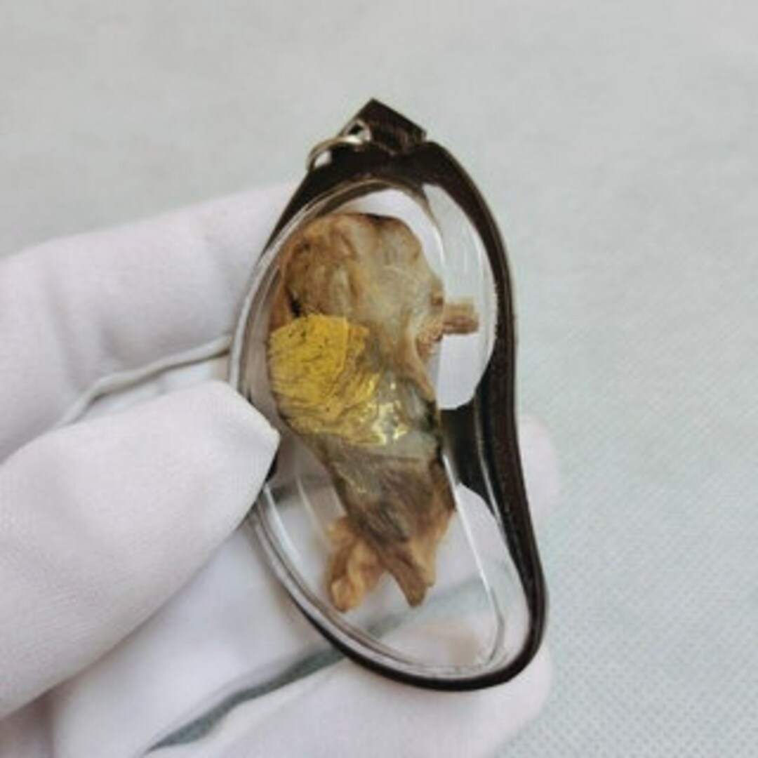 Amulet Cat Placenta Wealth Thai Mercy Magic Power Gambling - Etsy