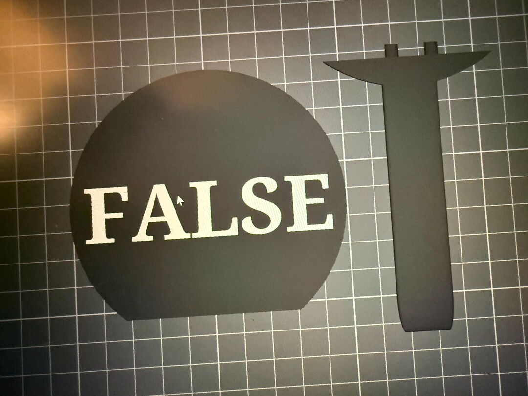 FALSE Handheld Sign as Seen in Address - Etsy