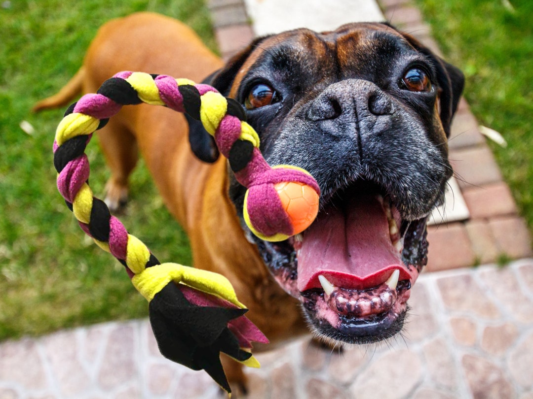 Fleece Dog Tug Toy Puppy Pull Toys Canine Obedience Toy - Etsy