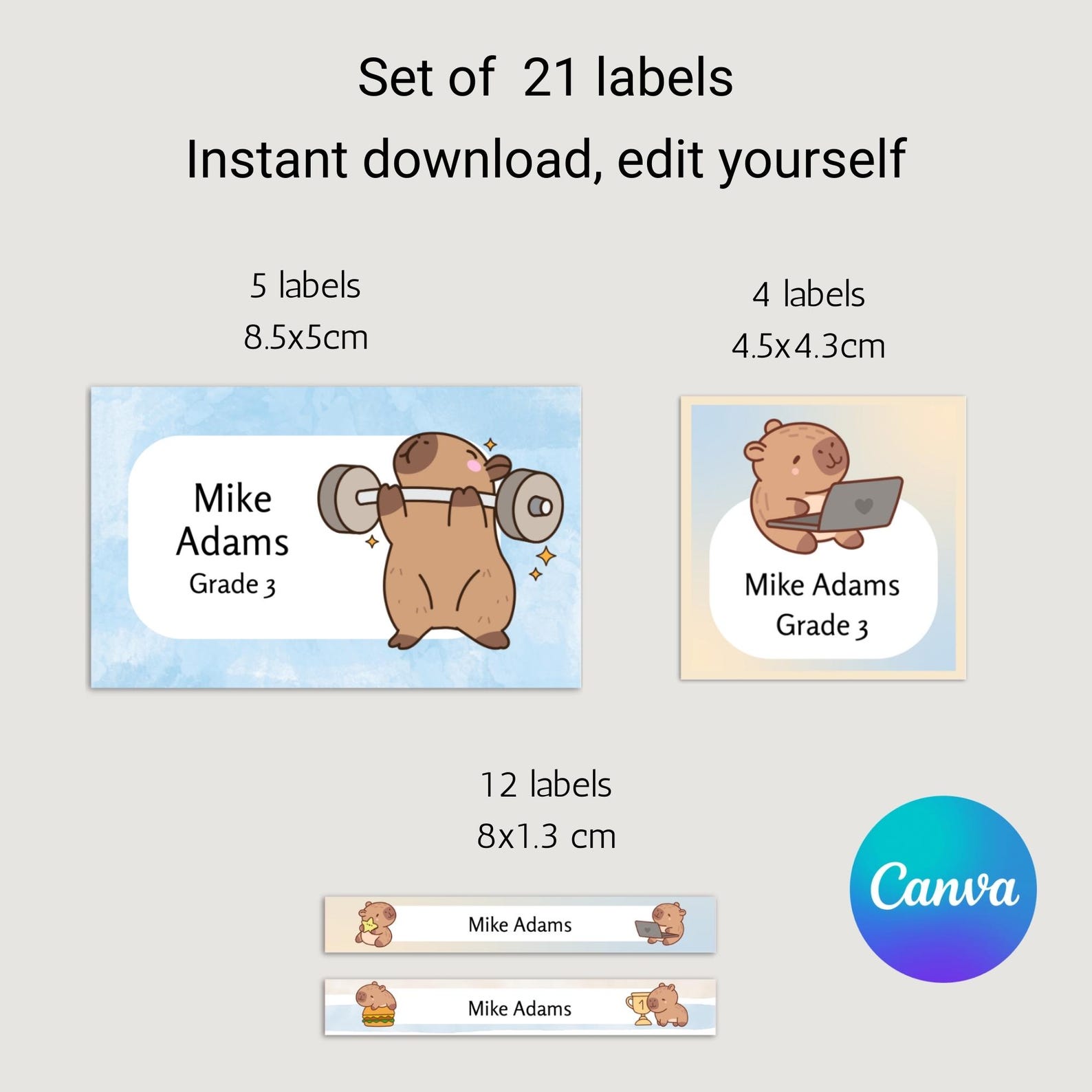Kawaii Capybara School Name Labels – Cute Kawaii Capybara Sticker Set ...