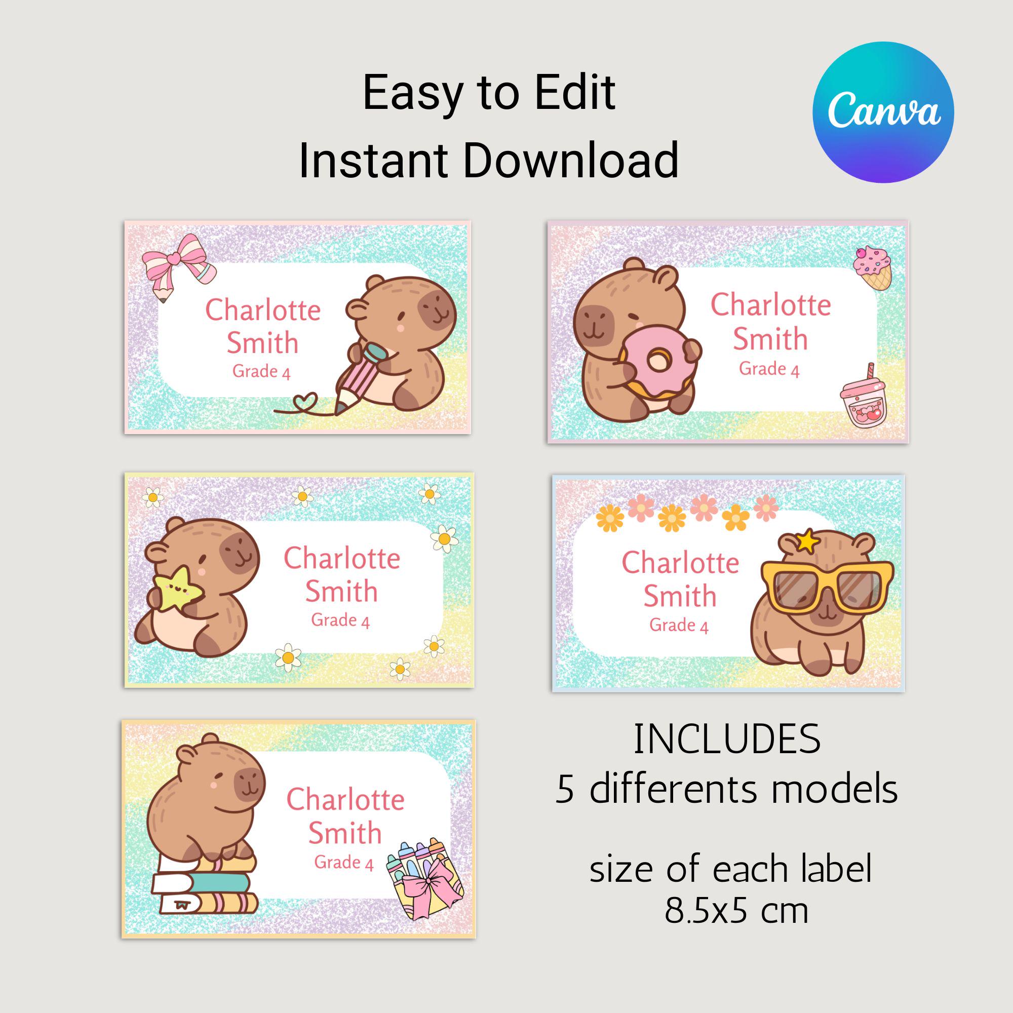 Kawaii Capybara School Name Labels – Cute Kawaii Capybara Sticker Set ...