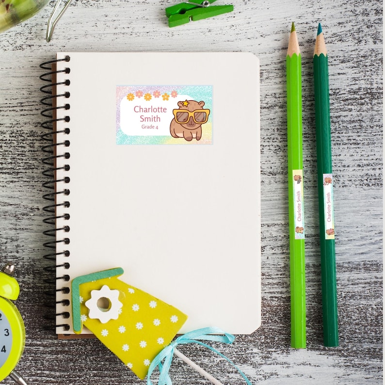 Kawaii Capybara School Name Labels – Cute Kawaii Capybara Sticker Set ...