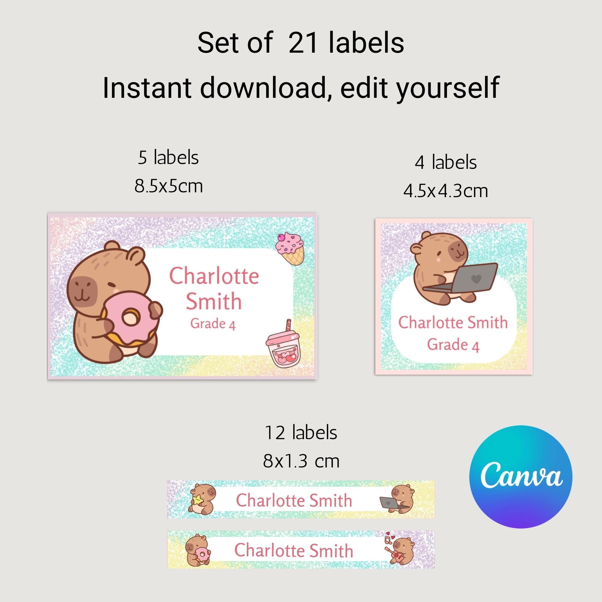 Kawaii Capybara School Name Labels – Cute Kawaii Capybara Sticker Set ...