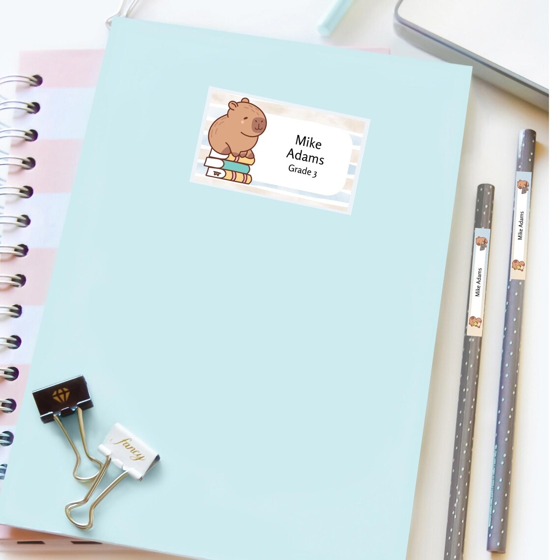 Kawaii Capybara School Name Labels – Cute Kawaii Capybara Sticker Set ...