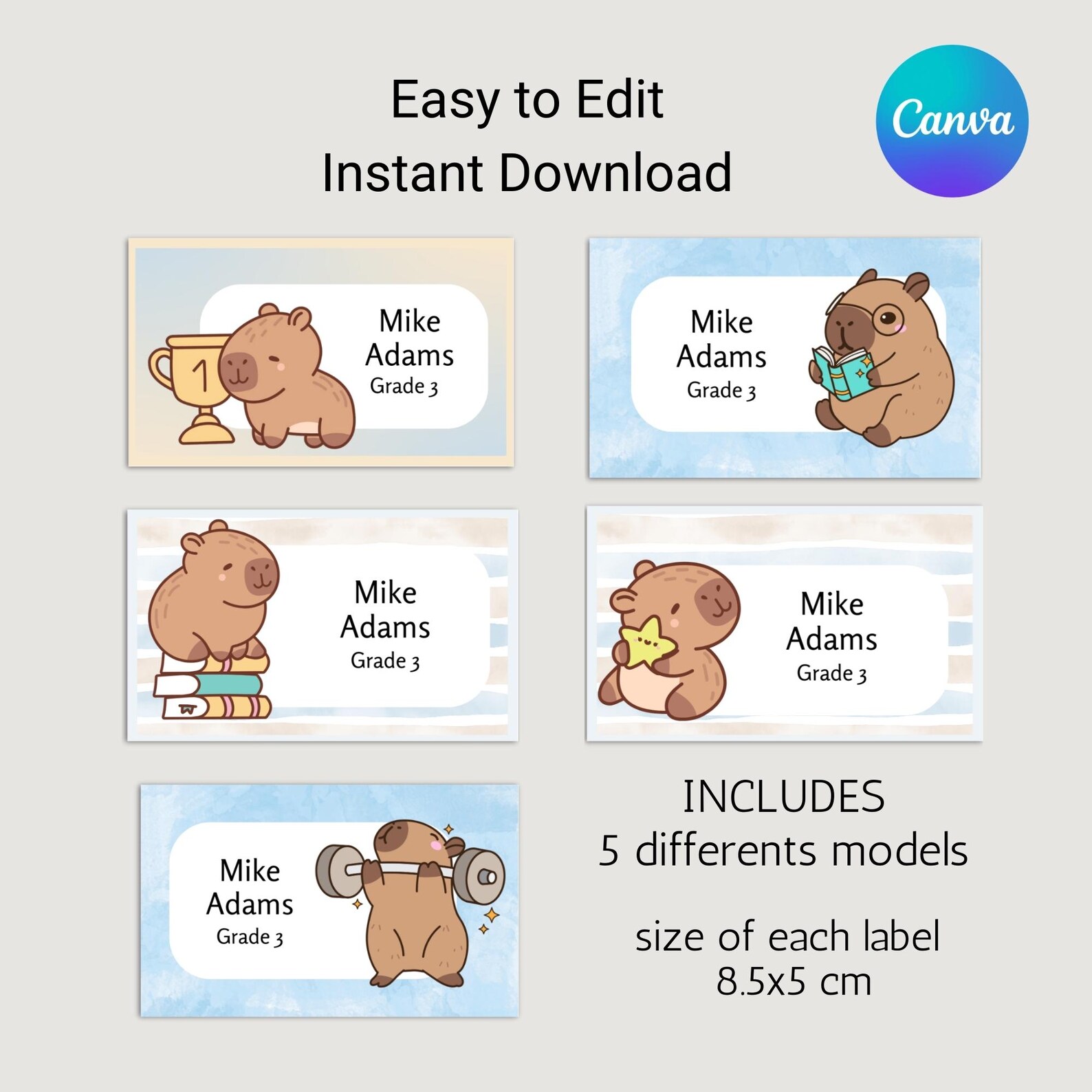 Kawaii Capybara School Name Labels – Cute Kawaii Capybara Sticker Set ...