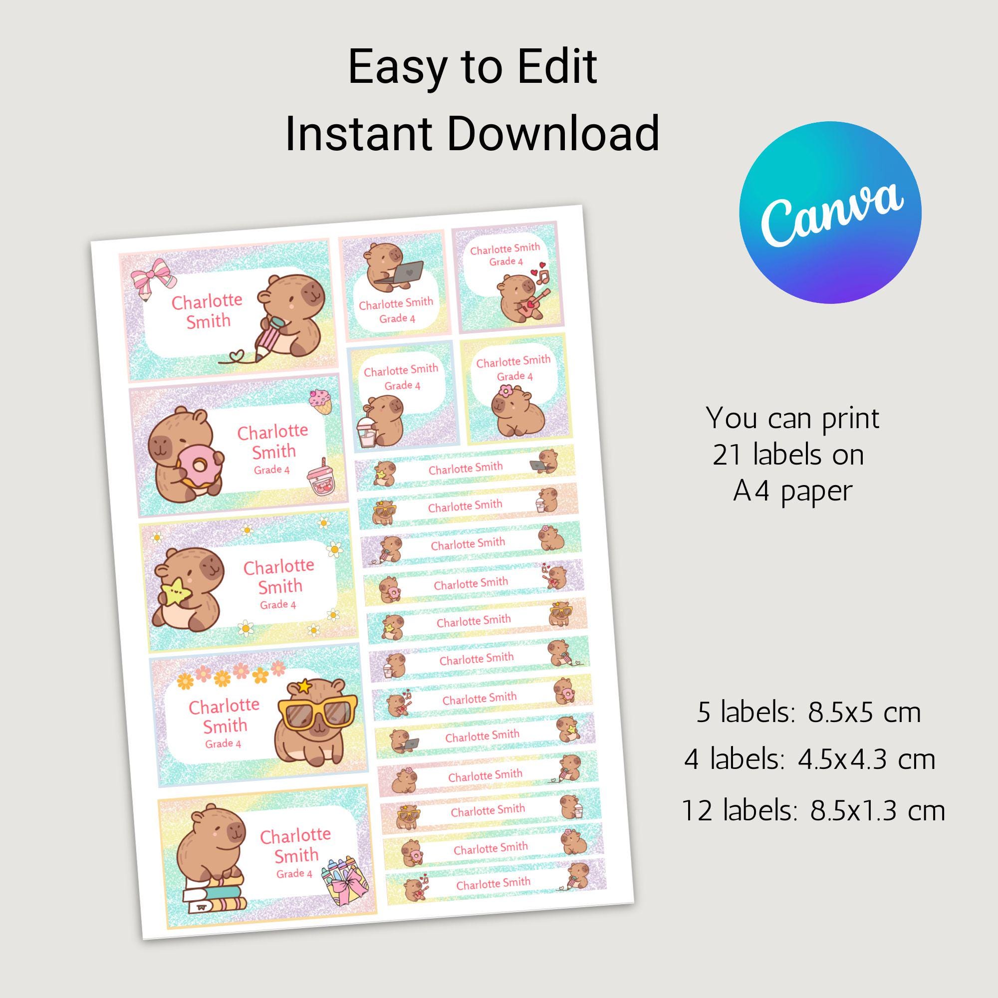 Kawaii Capybara School Name Labels – Cute Kawaii Capybara Sticker Set ...