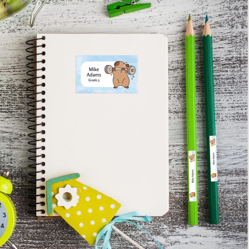 Kawaii Capybara School Name Labels – Cute Kawaii Capybara Sticker Set ...
