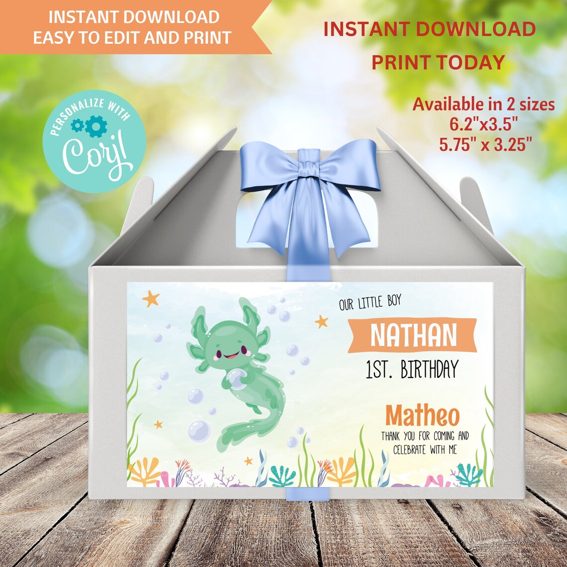 Axolotl Label, Instantly Download, Editable Gable Box Label for an ...